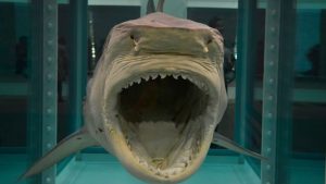 The Physical Impossibility of Death: Art, Mortality, and Meaning