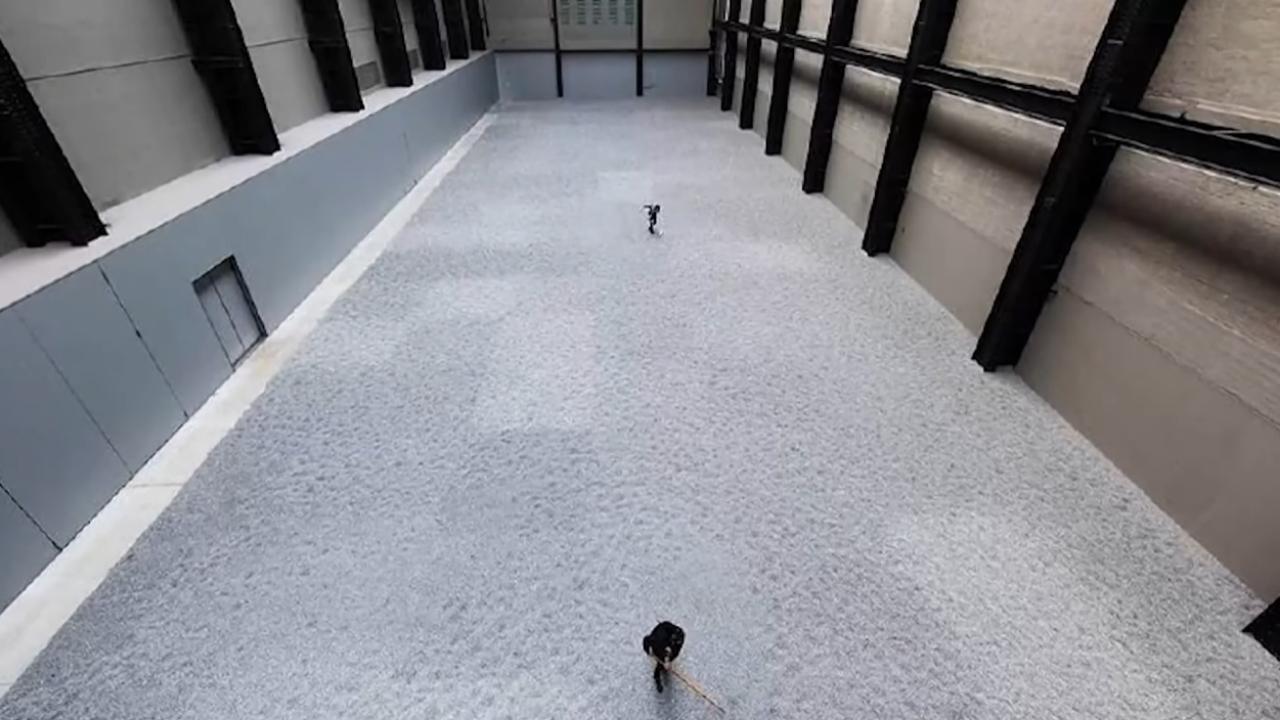 Sunflower Seeds by Ai Weiwei Explained: Art, Activism, and Symbolism