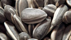 Sunflower Seeds by Ai Weiwei Explained: Art, Activism, and Symbolism